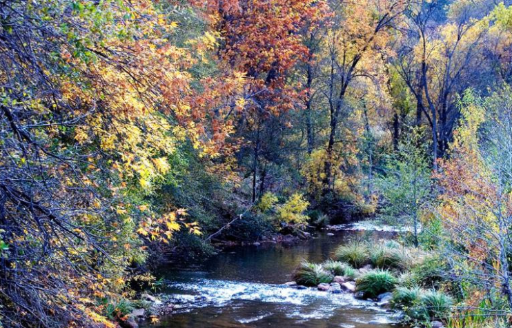 10 Reasons to Road Trip Arizona’s Verde Valley in the Fall - El Portal ...